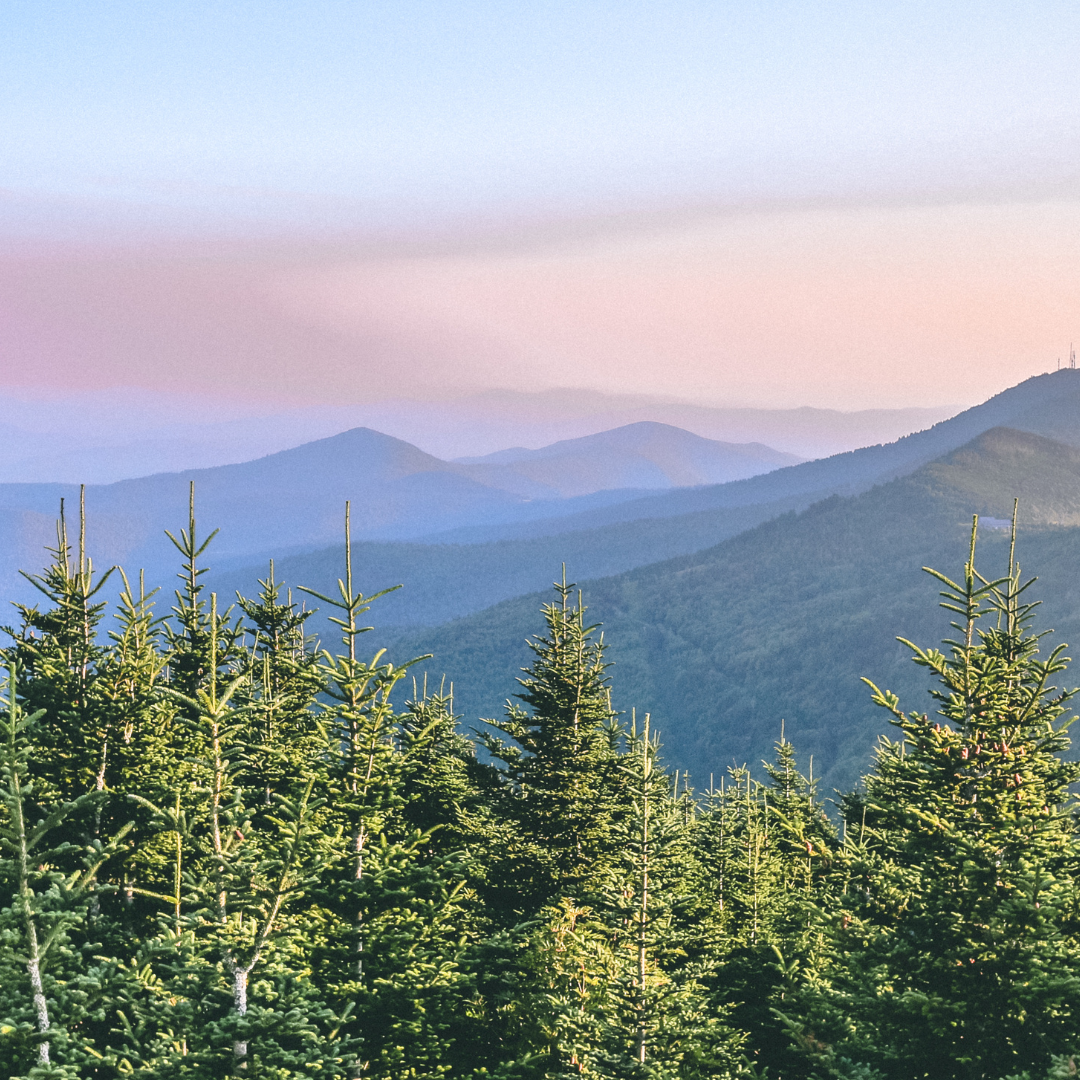 Jackson Nurse Professionals - Travel Nurse Jobs